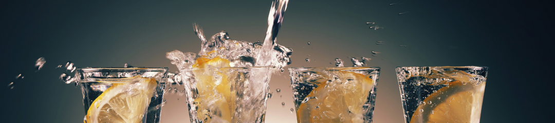 Vodka – Sake Company