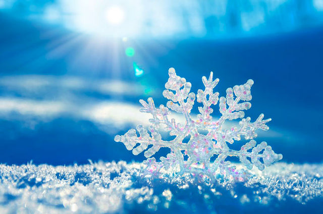 Chi Siamo – Sake Company